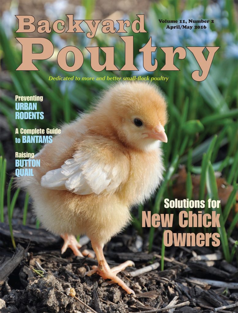 Backyard Poultry April/May 2016 - Backyard Poultry